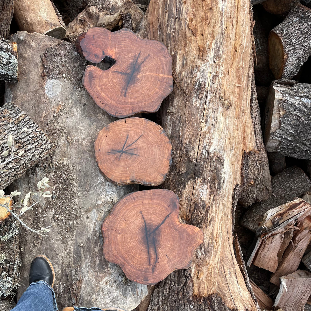Mesquite Rounds – Urban Tree Company
