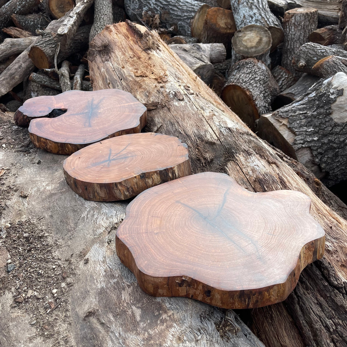 Mesquite Rounds – Urban Tree Company