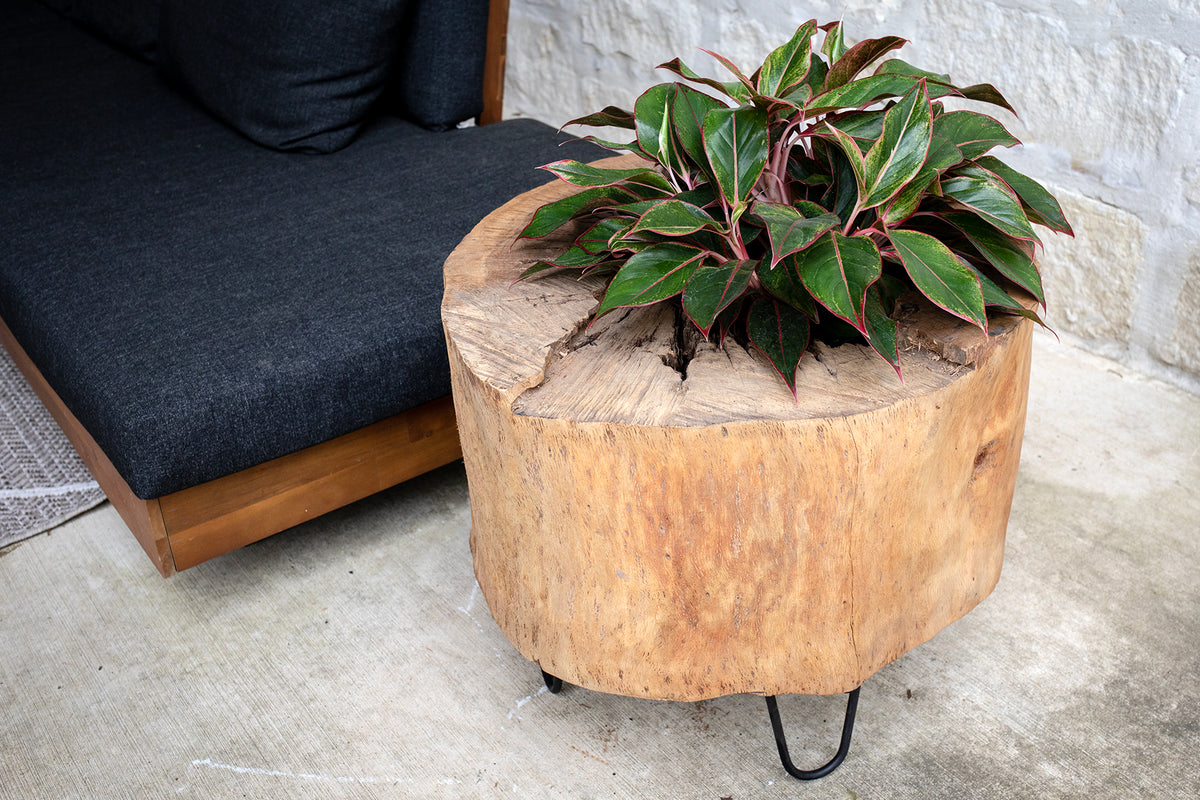 Oak Log Planter – Urban Tree Company